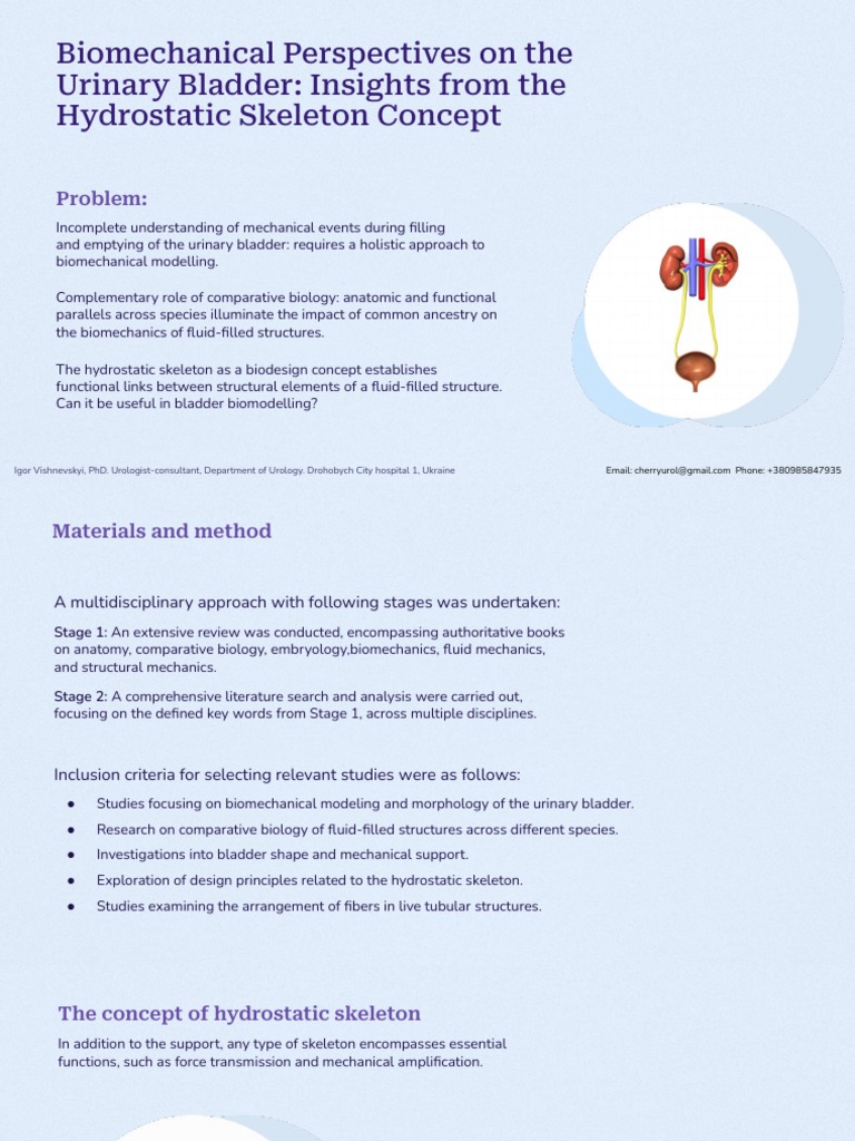 Hydrostatic Skeleton of The Urinary Bladder | PDF | Biomechanics ...