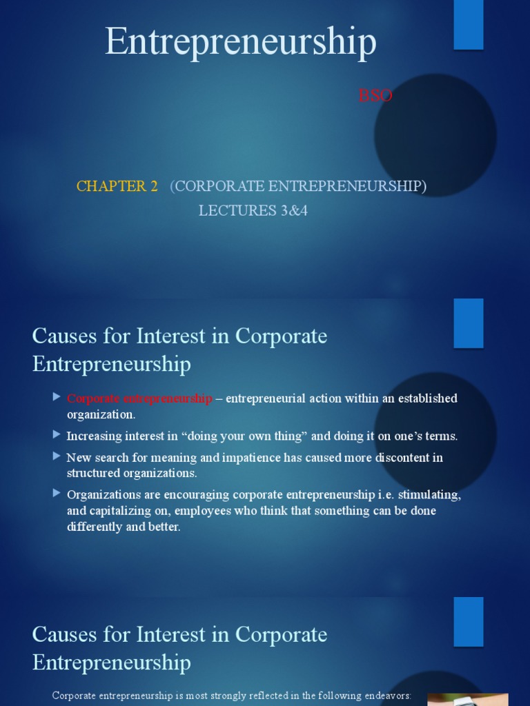 Chapter 2 Lectures 3and4 Pdf Entrepreneurship Leadership