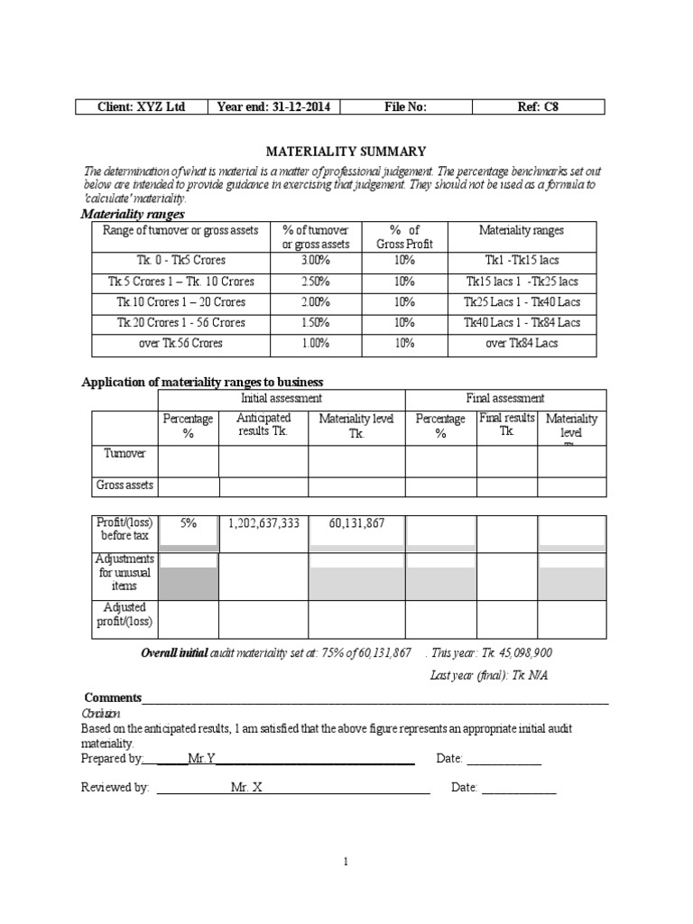 3317C 8 Materiality summary (1) | PDF | Financial Audit | Business