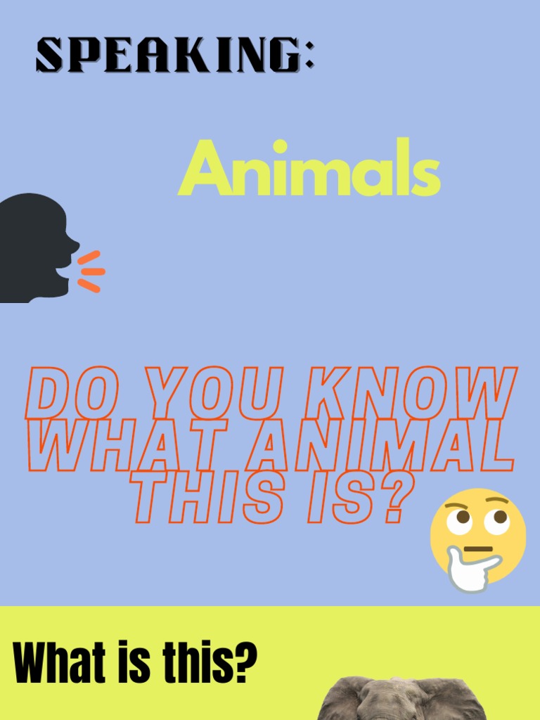 Speaking For A1 Level Students About Animals | PDF