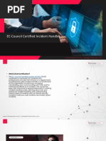 SentinelOne DV Cheatsheet Opt2-2 | PDF | Windows Registry | Utility Software