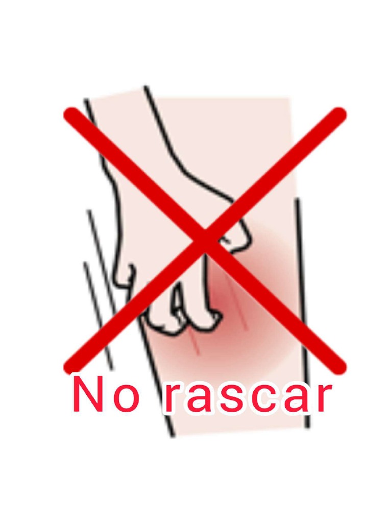 No Rascar Ángela | PDF