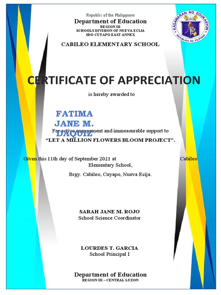 Certificate For Brigada Eskwela 2024