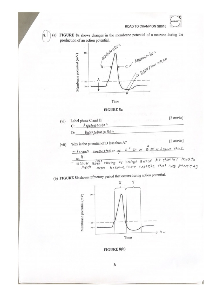 Question 8 Set 2 RTC | PDF
