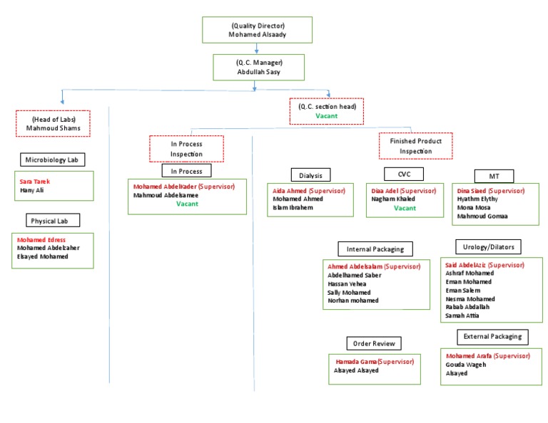 Quality Control Flow Chart (Hierarchy) | PDF