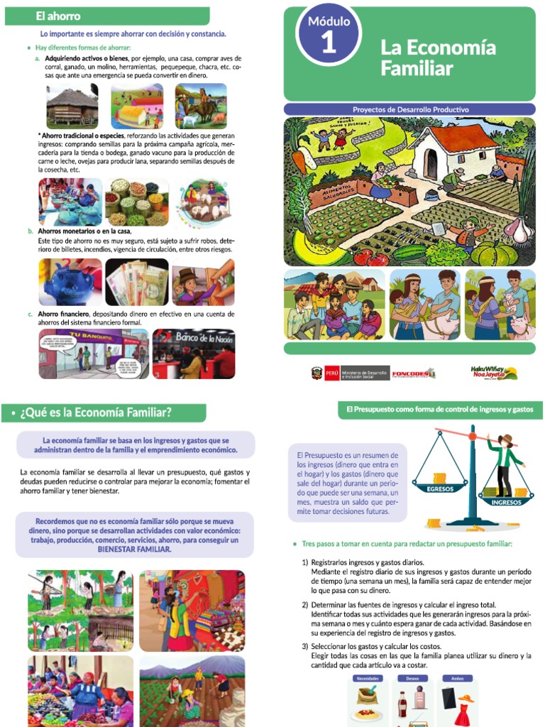 Dipticos y Tripticos de Foncodes | PDF