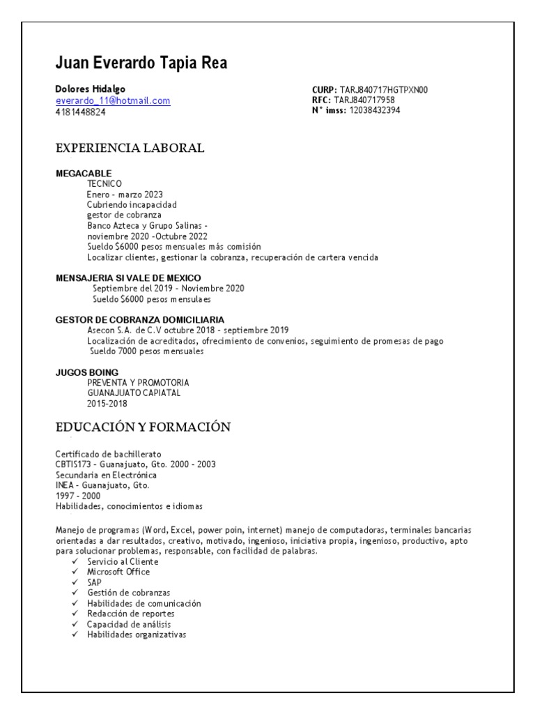 Perfil Profesional de Juan Tapia | PDF | Negocios