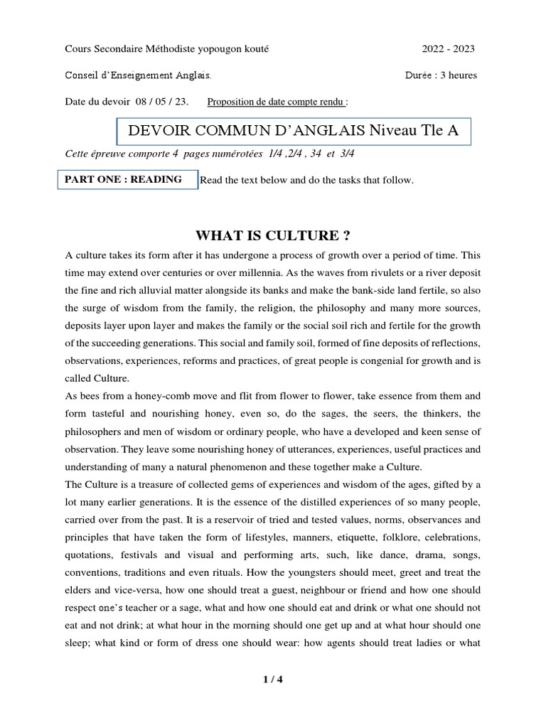 Devoir Terminal Sur Culture | PDF