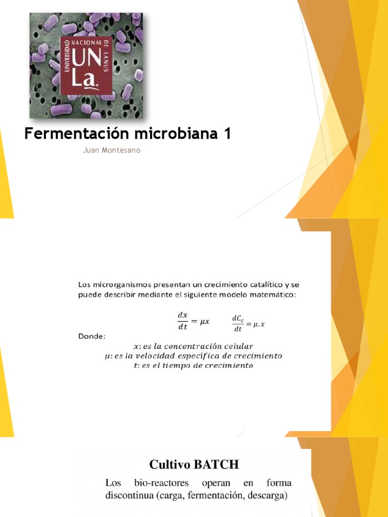 Fermentación Microbiana | PDF | Química | Ciencias fisicas