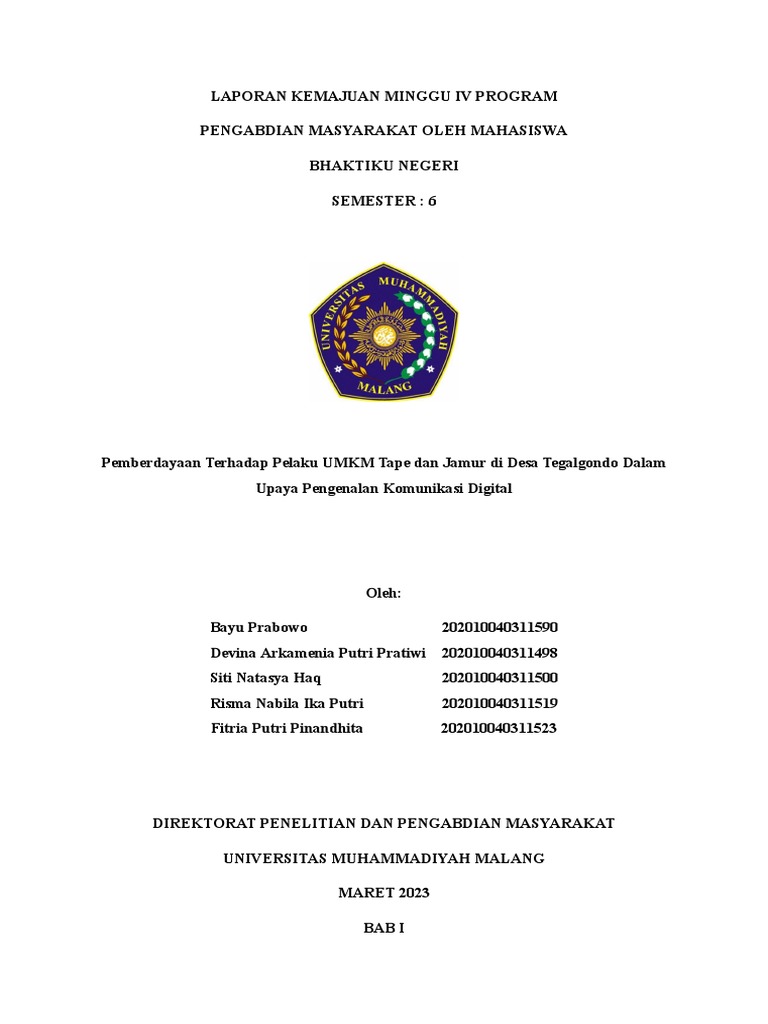 Laporan Kemajuan Minggu IV Program | PDF