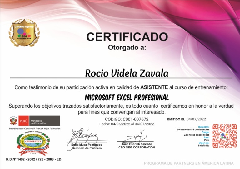 Microsoft Excel Profesional | PDF