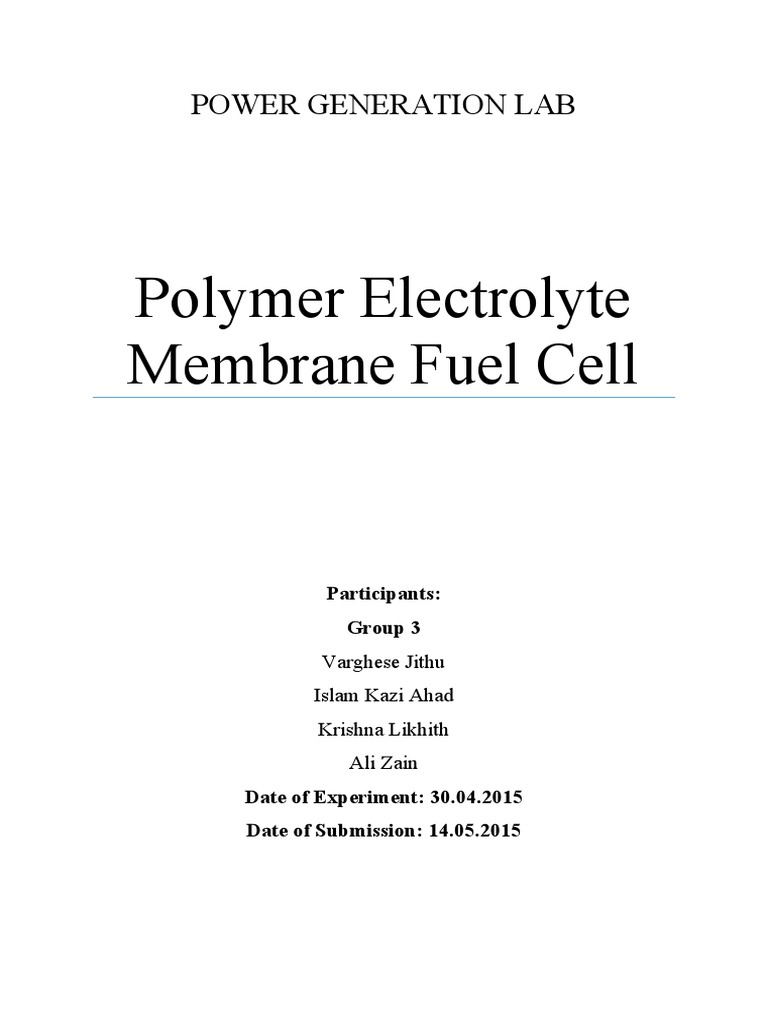 Fuel Cells | PDF