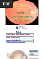 Ocular Fundus Drawing | PDF | Retina | Human Eye