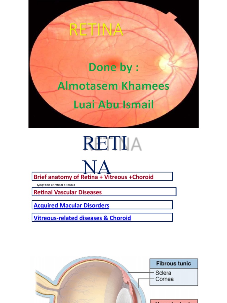 Retina | PDF | Retina | Ischemia