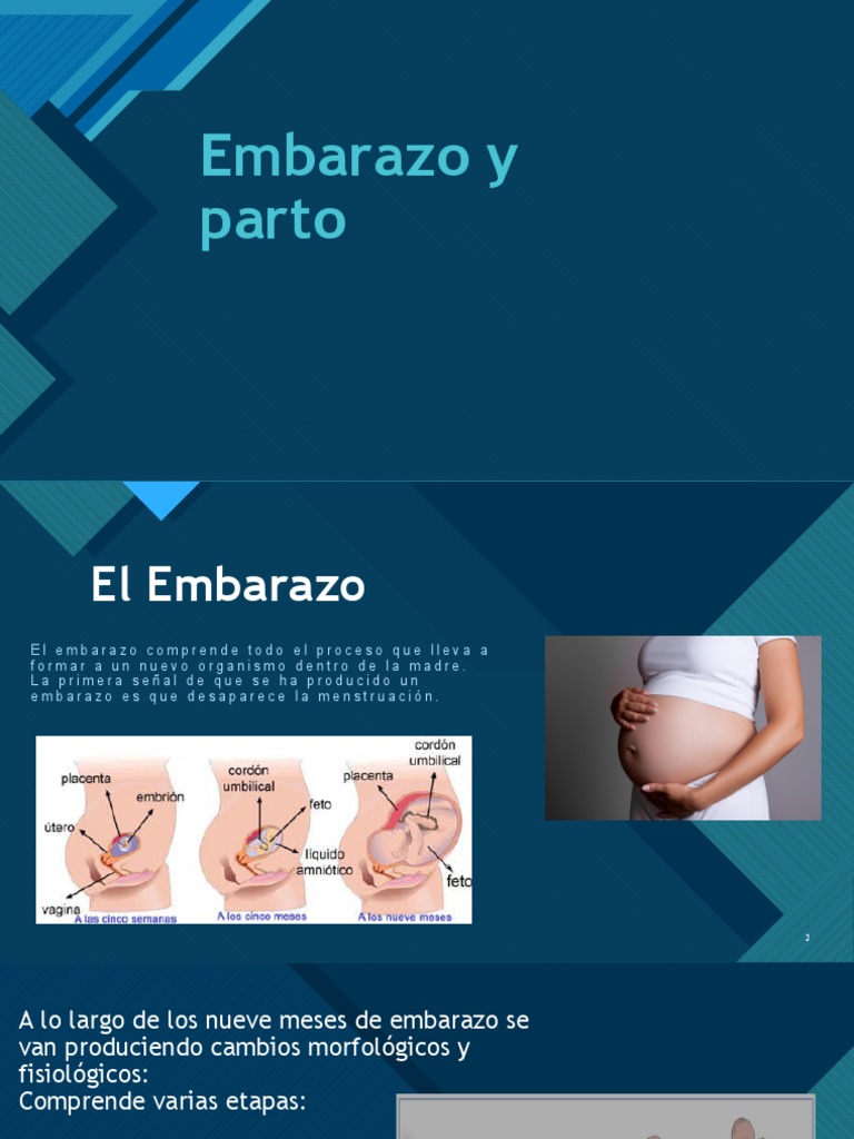 Embarazo y Parto Grupo 5 ! | PDF | Parto | El embarazo