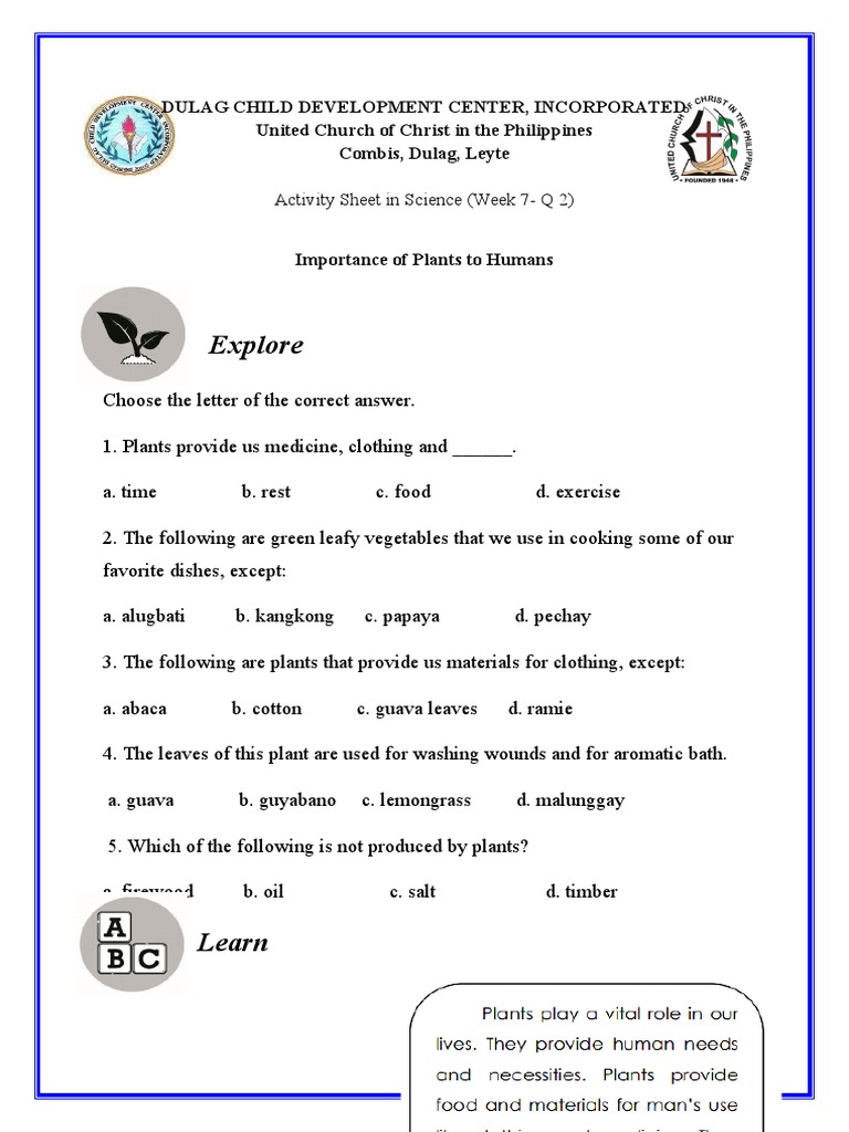 Activity Sheets in Science Week 8 Quarter 2 | PDF | Plants | Botany