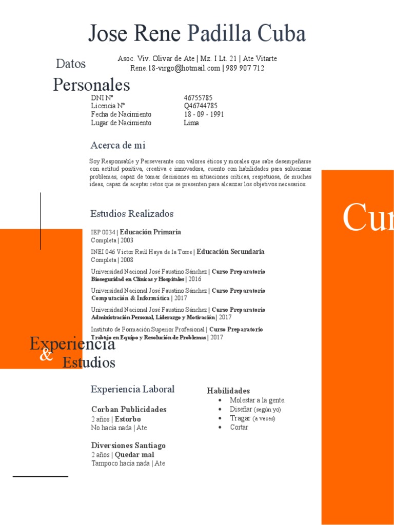 CV Fancy | PDF