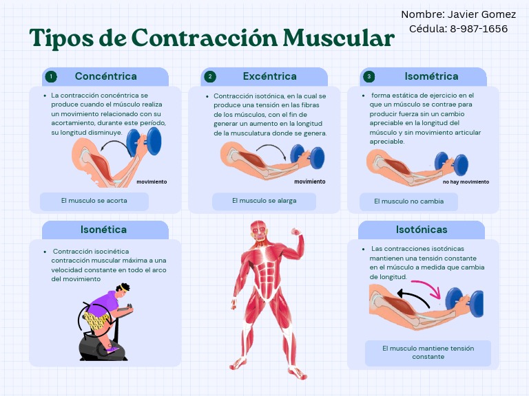 Tipos de Contracción | PDF