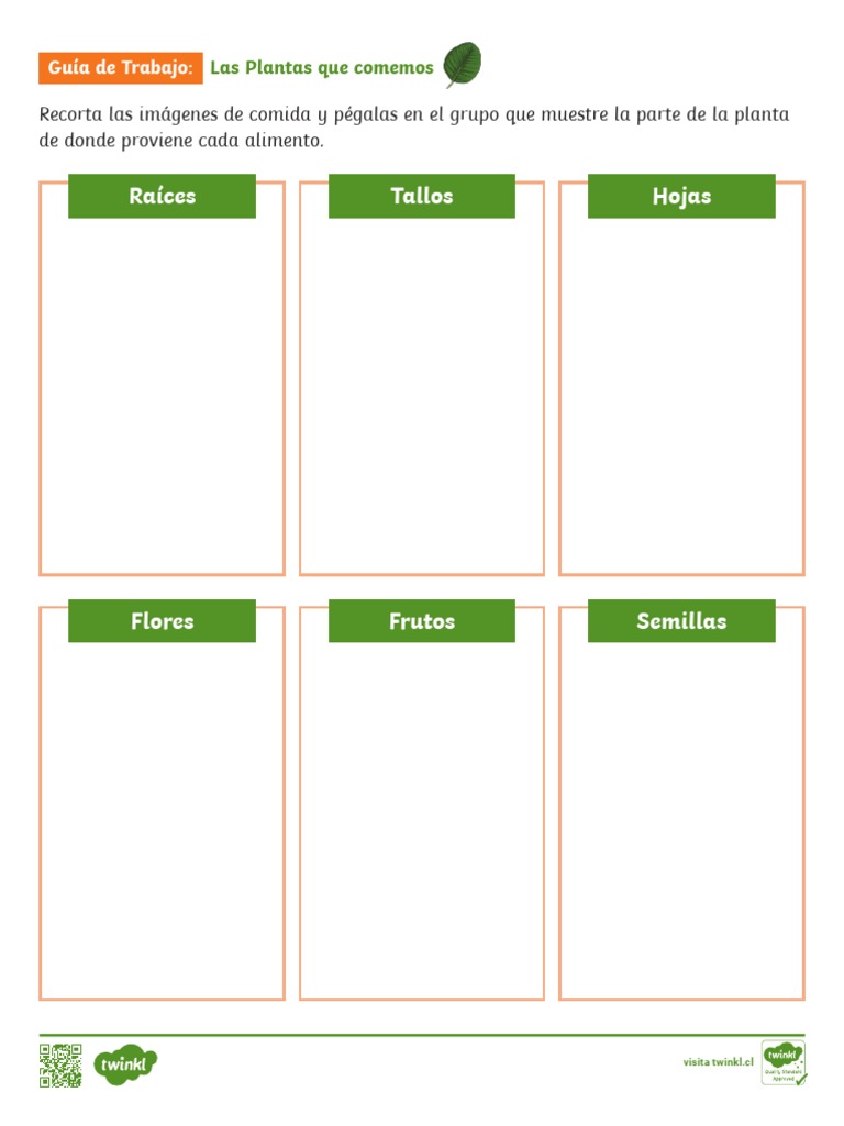 Guia de Trabajo Las Plantas Que Comemos | PDF