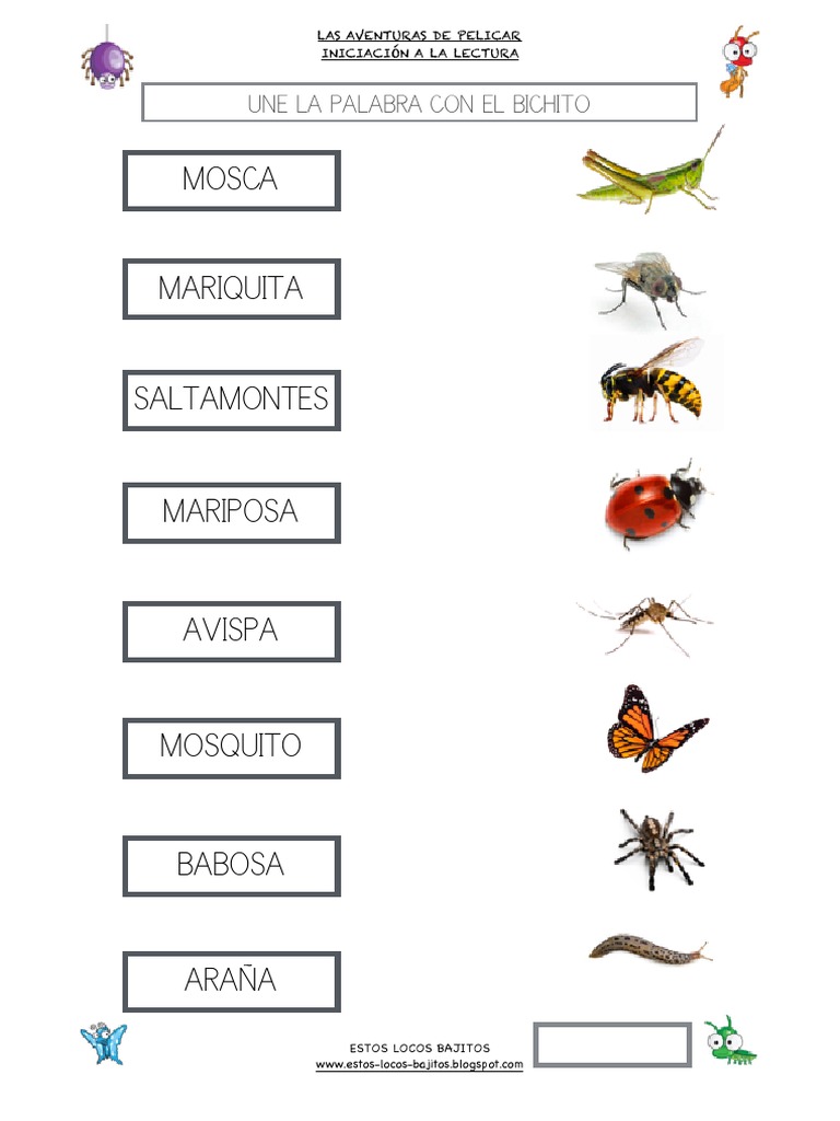 Actividades de Lectura sobre Insectos | PDF
