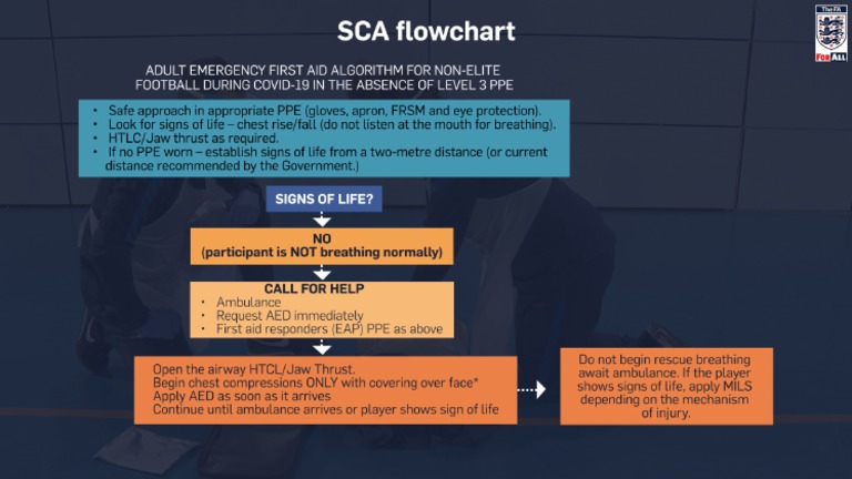 SCA Flowchart | PDF