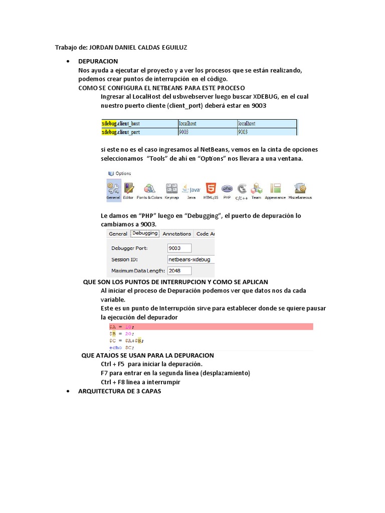 Configuración de Depuración en NetBeans | PDF