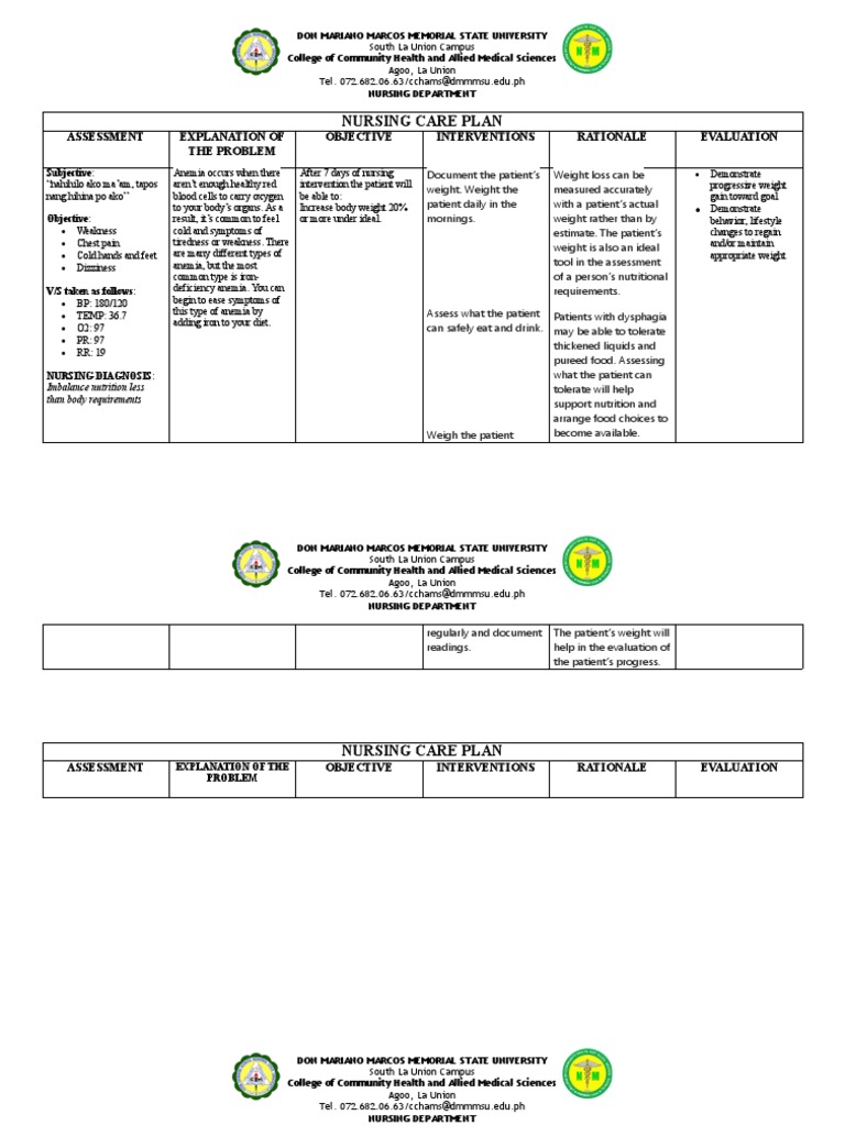 Nursing Care Plan for Anemia | PDF