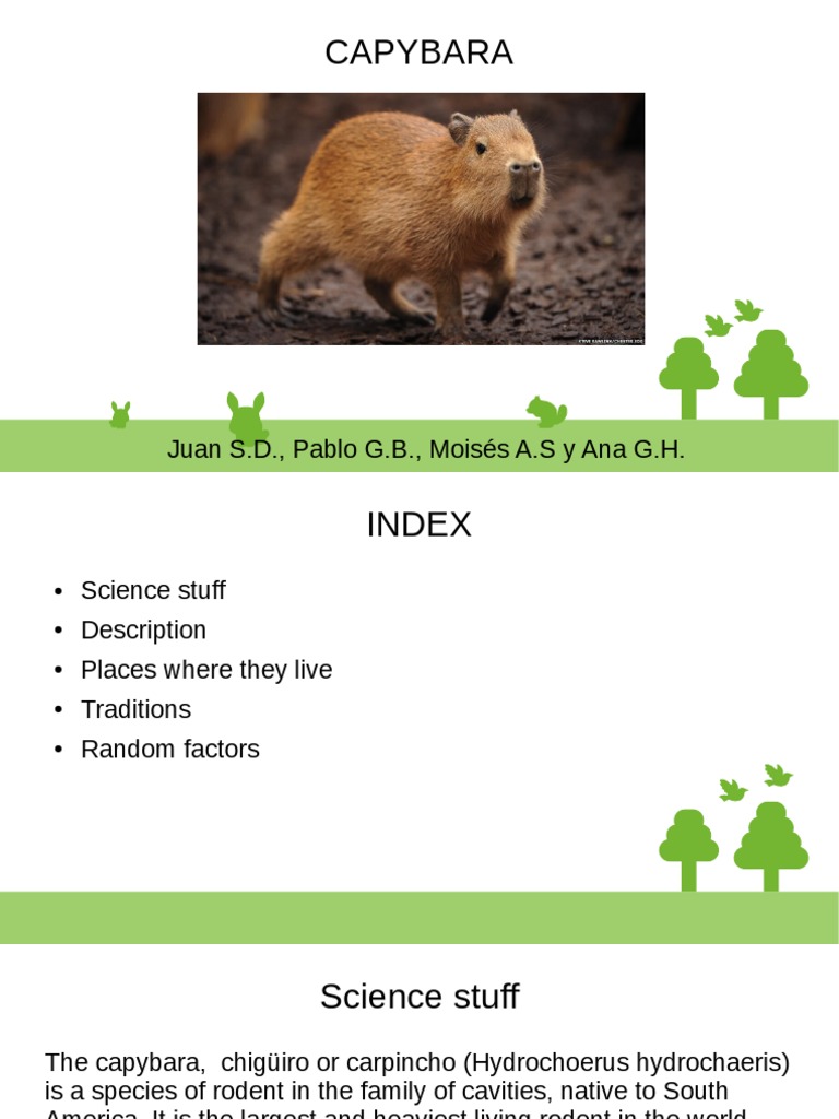 capybaras (1) | PDF