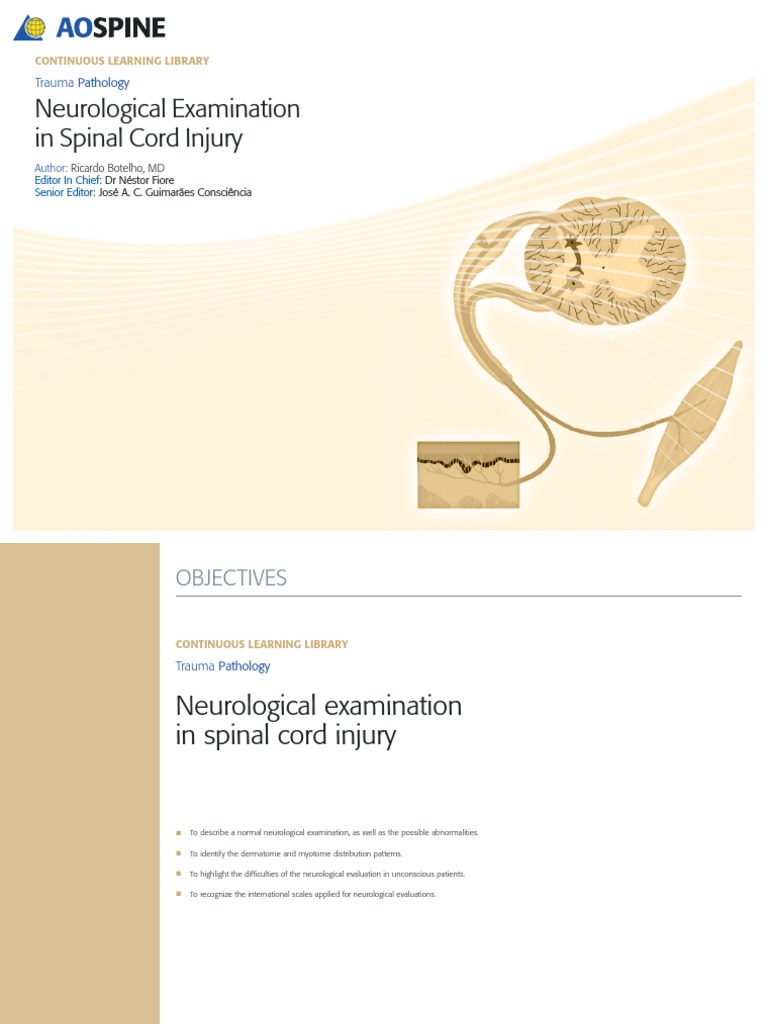 Neurological Exam in Spinal Cord Injury | PDF | Spinal Cord | Vertebral ...
