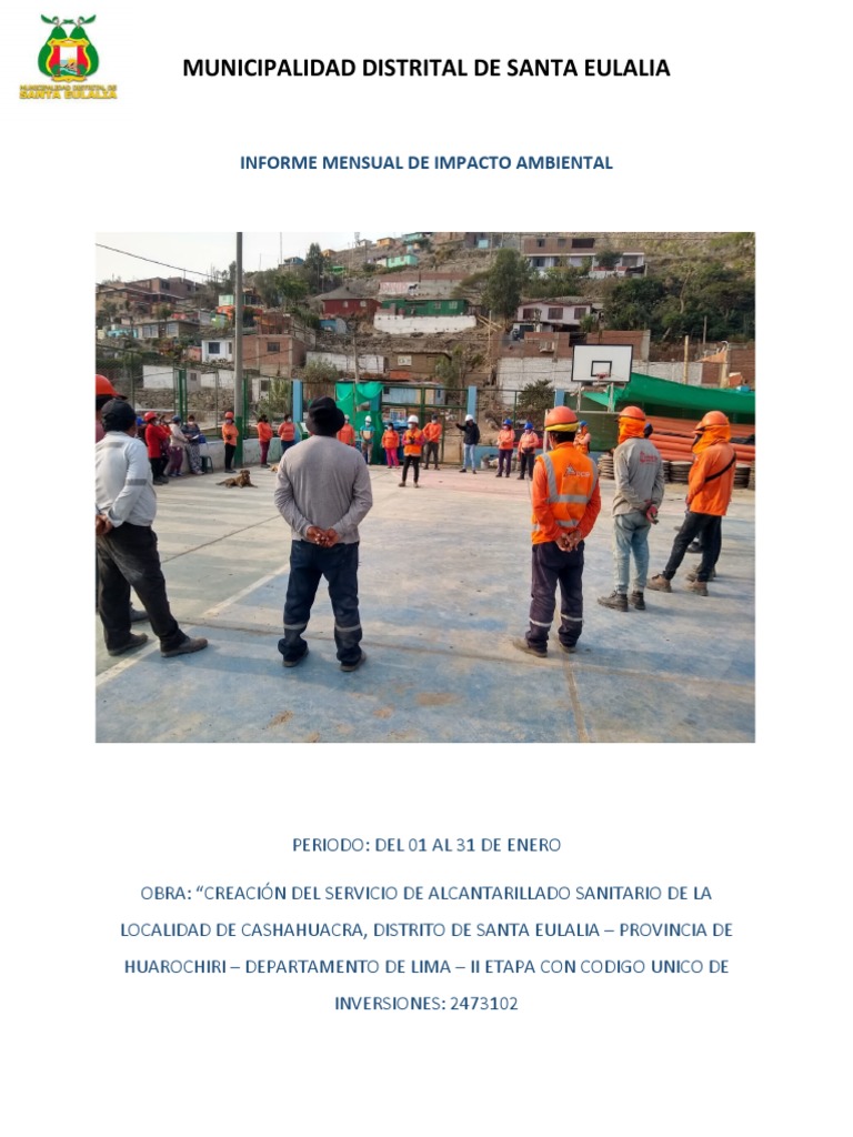 Informe Mensual de Impacto Ambiental | PDF | Residuos | Reciclaje