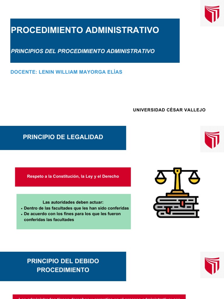Procedimiento Administrativo Principios Del Procedimiento Administrativo | PDF | Principios ...