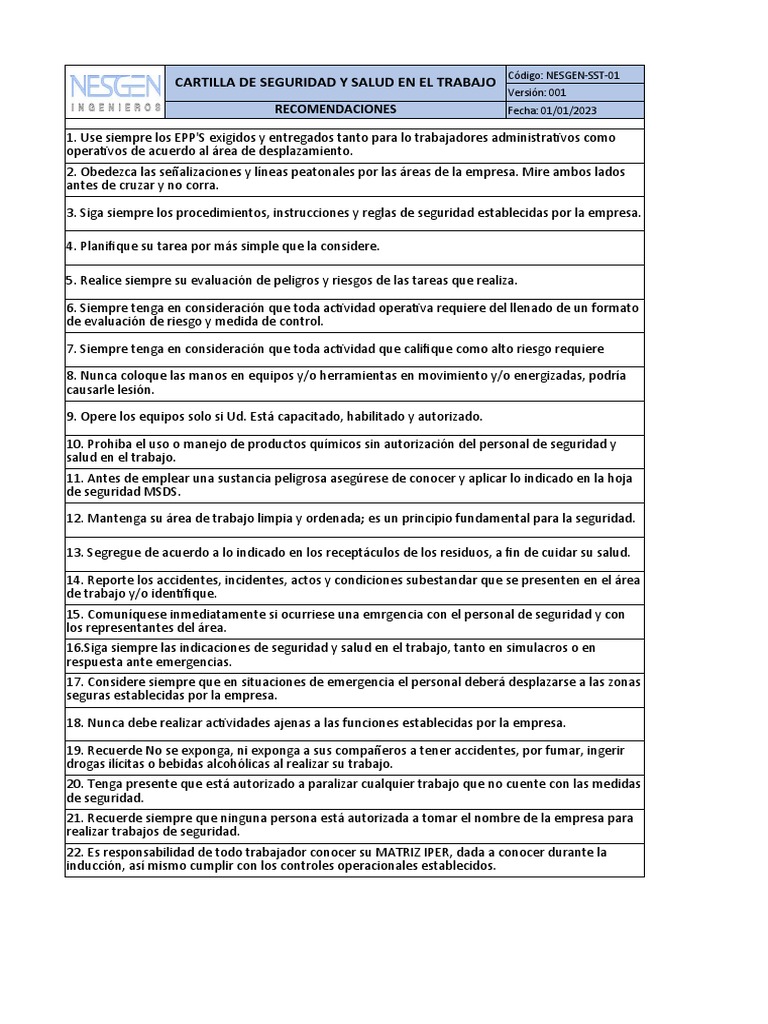 Nesgen-Sst-001 Recomendaciones SST | PDF
