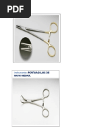 Posición de Roser o Proetz | PDF | Inflamación | Biología Celular)