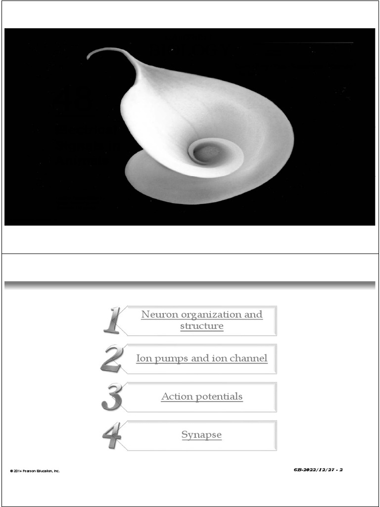 48 - Electrical Signals in Animals | PDF | Chemical Synapse | Action ...