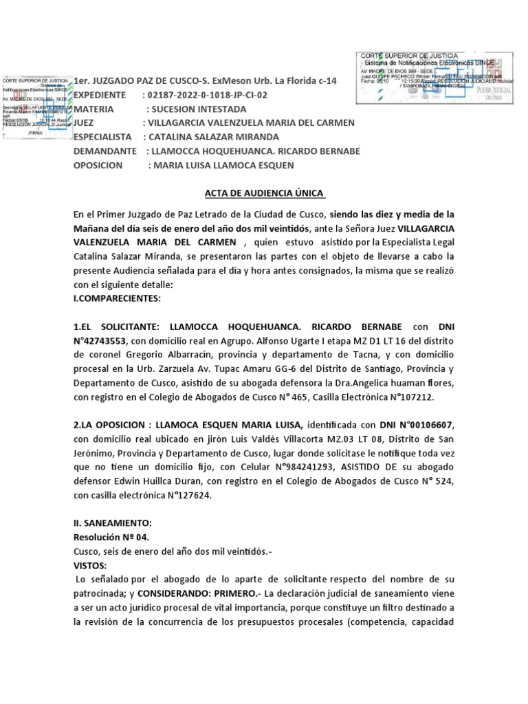 Acta de Audiencia | PDF | Ley procesal | Demanda judicial