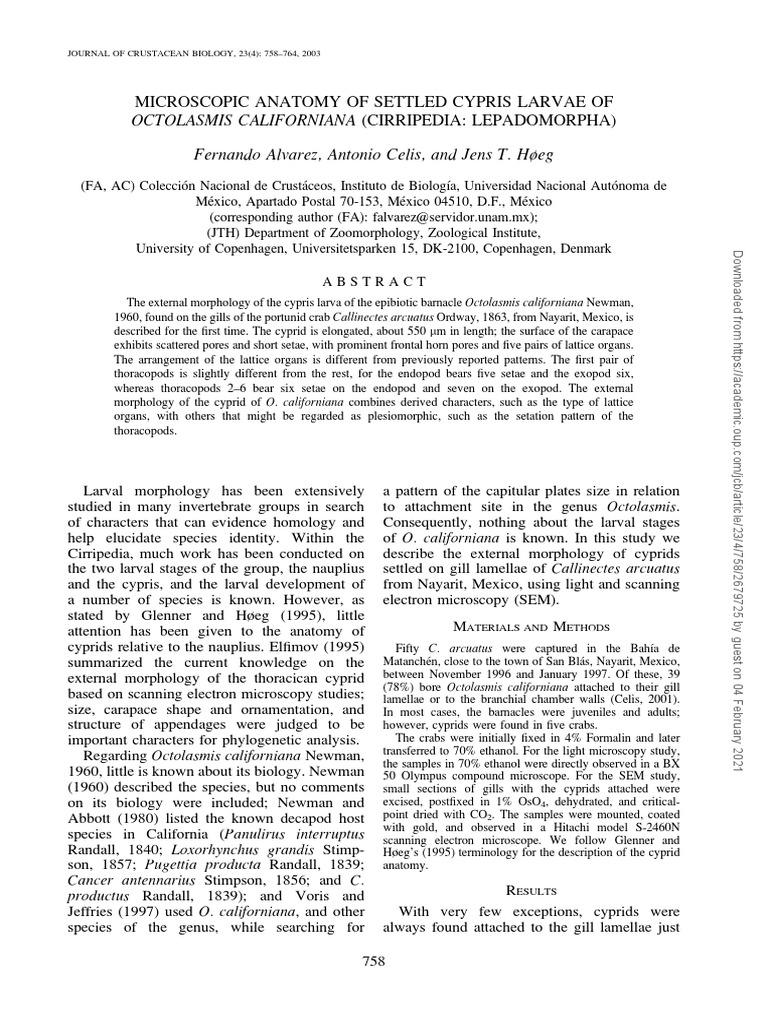 Alvarez 2003 Microscopic Anatomy of Settled Cypris Larvae of Octolasmis ...