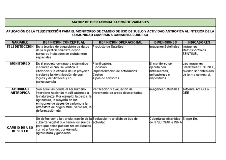 Matriz de Operacionalizacion de Variables | PDF