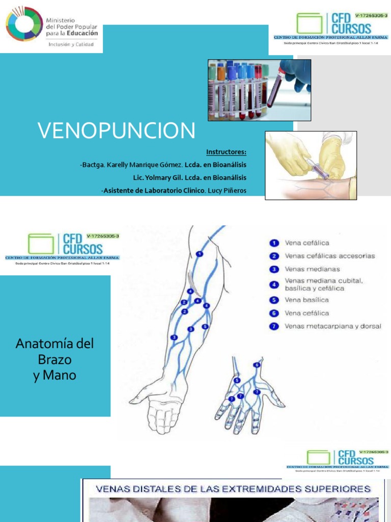 ANATOMIA VENOPUNCION CFD | PDF | Cuidado de la salud | Medicina