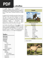 Taxonomía del Caballo: Equus ferus caballus | PDF | Caballos | Équidos