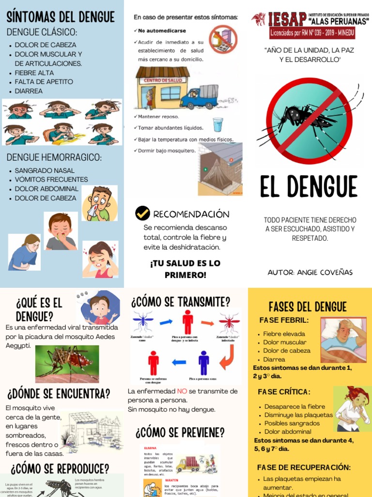 Tríptico Sobre El Dengue | PDF | Causas de la muerte | Especialidades Medicas