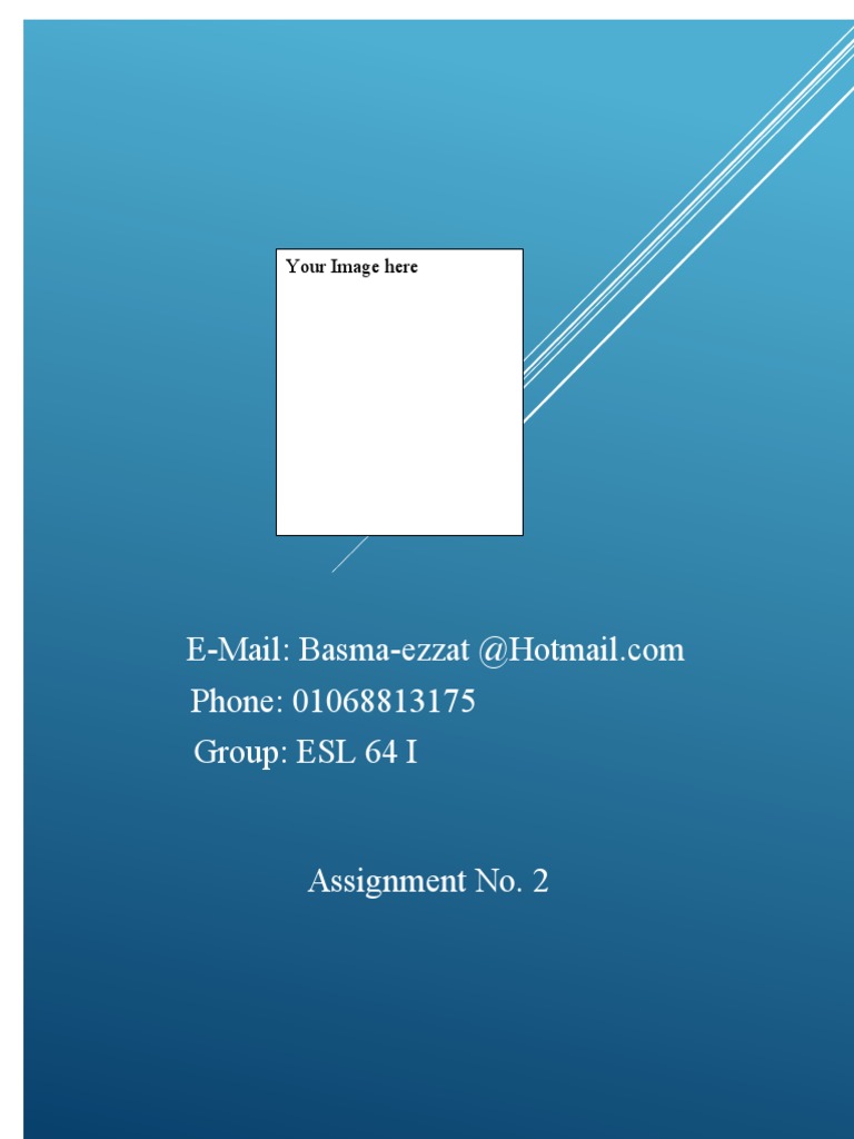 Basma Ezzat - Ass 2 | PDF