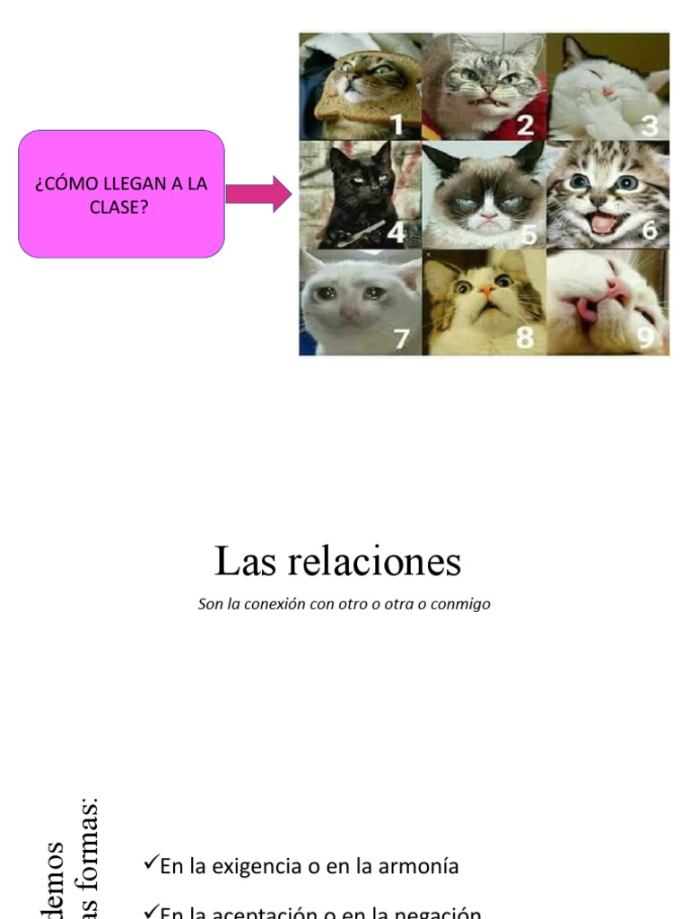 Clase 26 Del 10 | PDF | Las emociones | Sicología