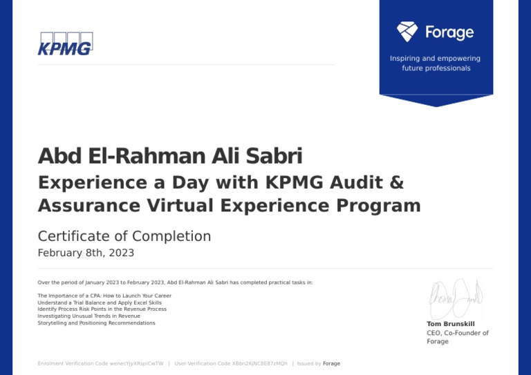 Audit Kpmg | PDF