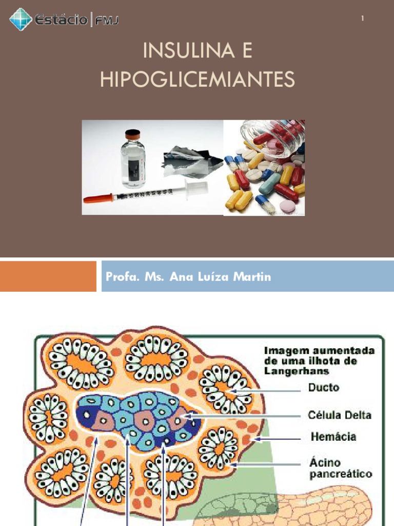 Aula 08 - Insulina e Hipoglicemiantes 2021 Comentado | PDF | Diabetes ...