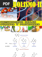Función y Efectos de la Motilina | PDF | Diarrea | Intestino delgado