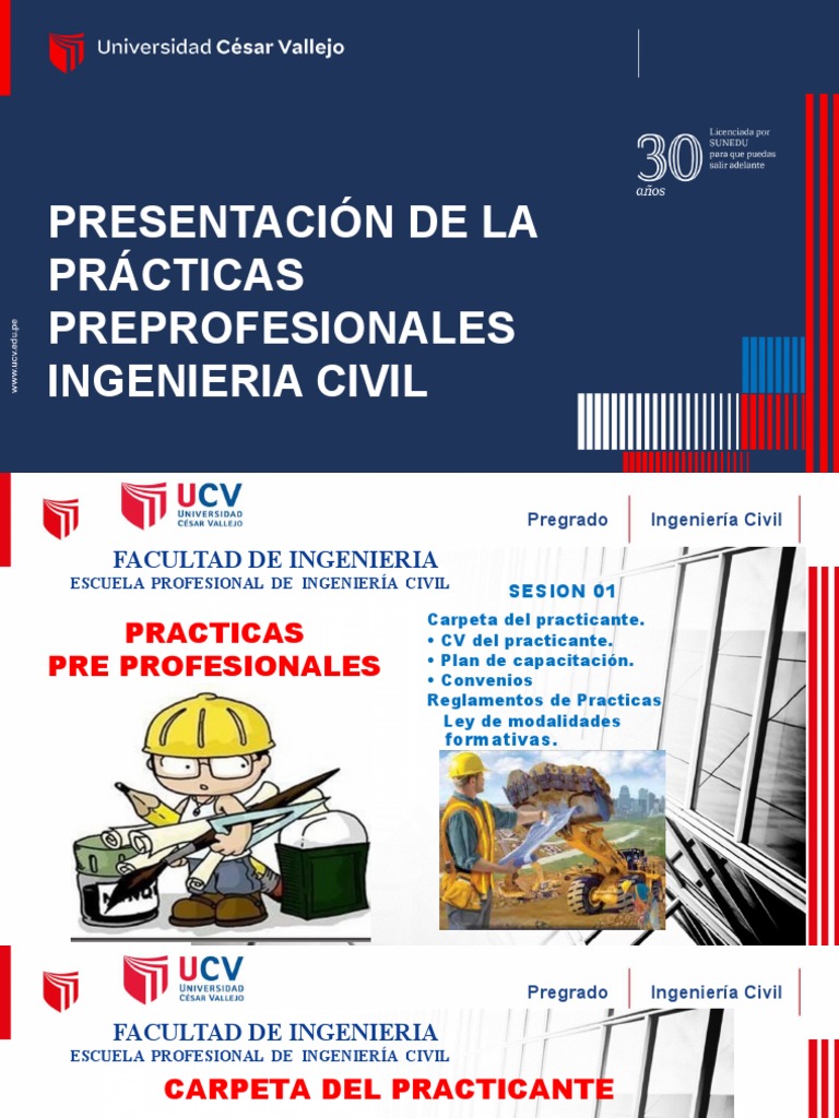 Sesion I - Carpeta - Reglamento PPP | PDF | Ingeniero civil | Ingeniería