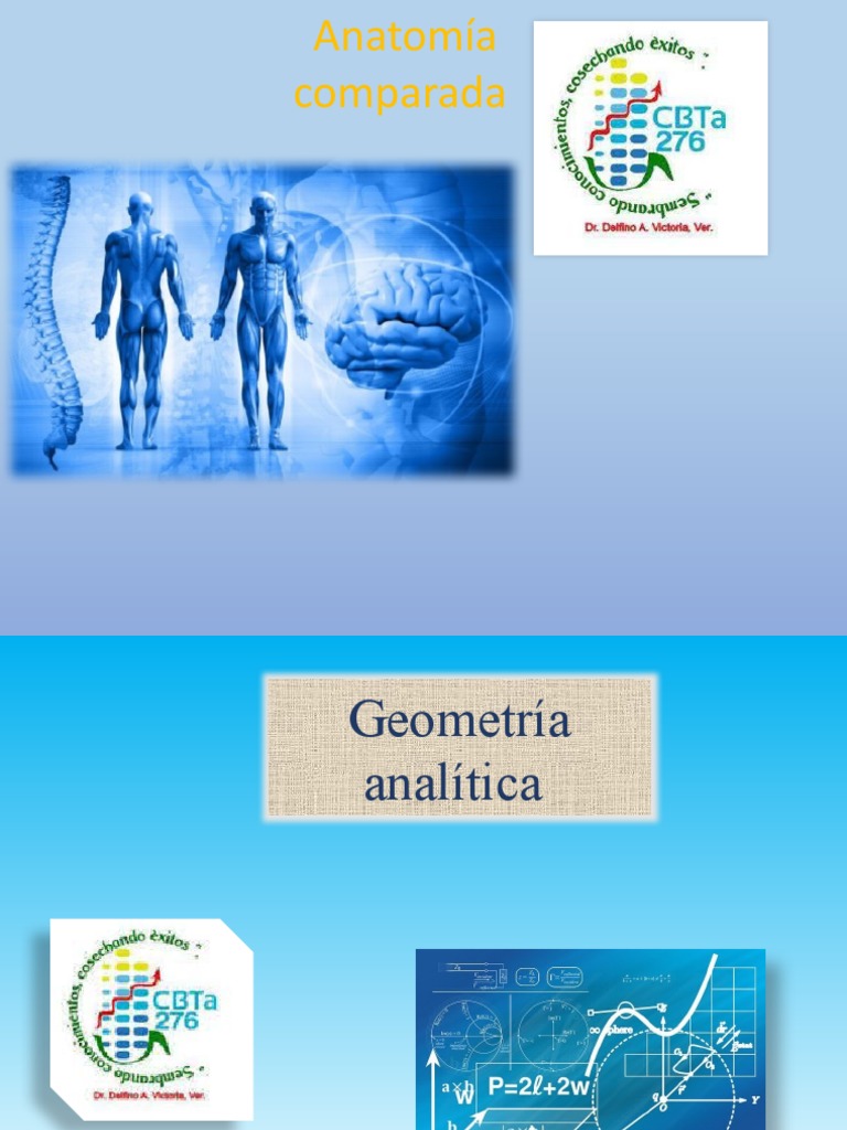 Trabajo Con El Profe Arturo - Kybm | PDF