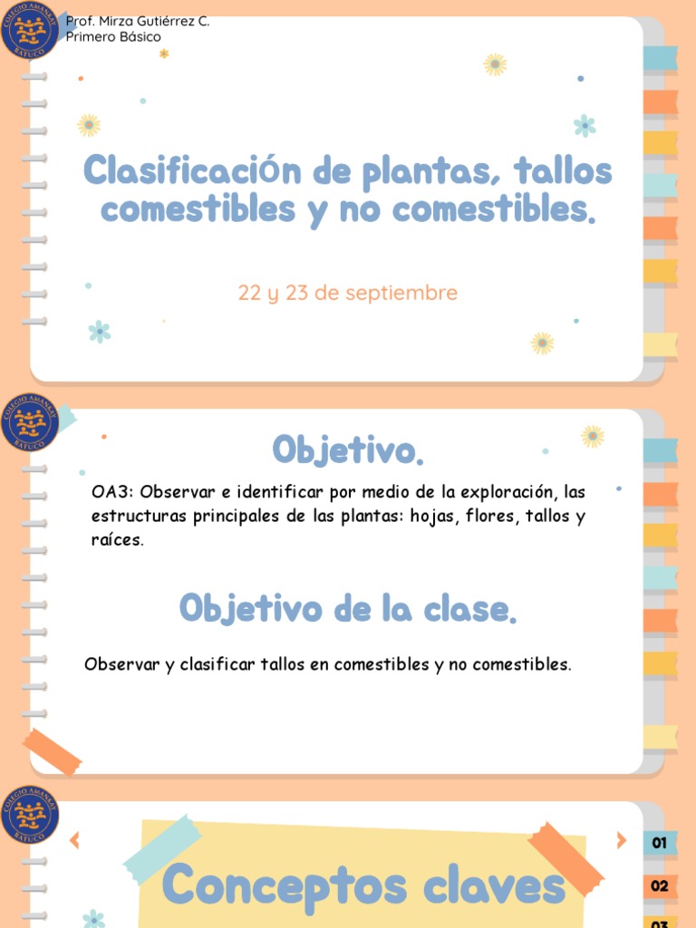 Clasificación de Plantas Tallos Comestibles y No Comestibles 22 y 23 de ...