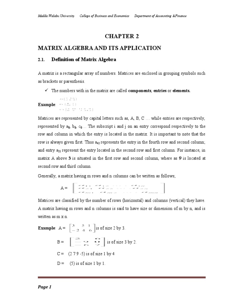 Chapter 2.maths | PDF | Matrix (Mathematics) | Mathematical Physics