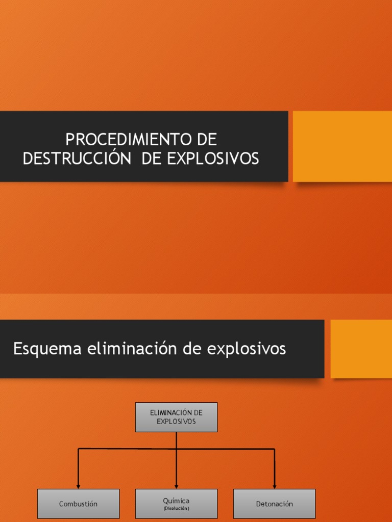 Procedimiento de Destrucción de Explosivos | PDF | Combustión | Incendios